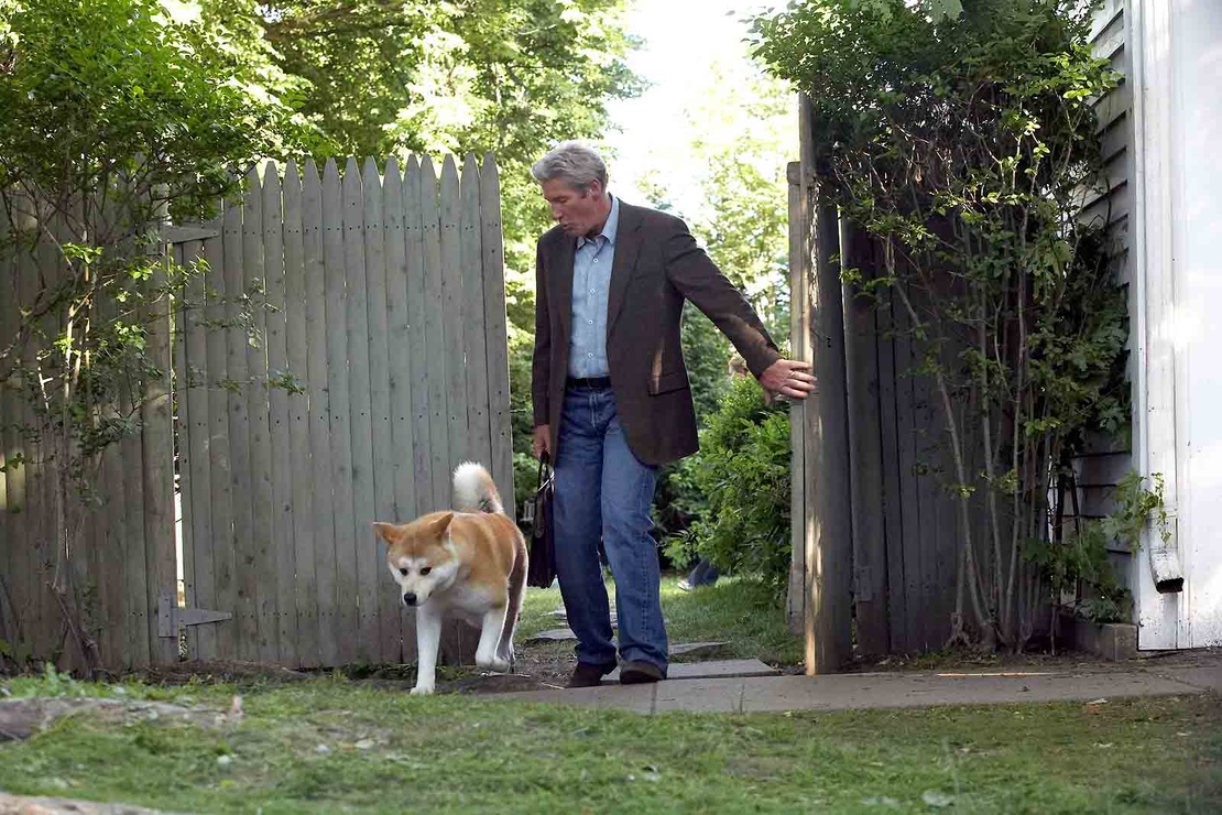 Picture of Hachi: A Dog's Tale