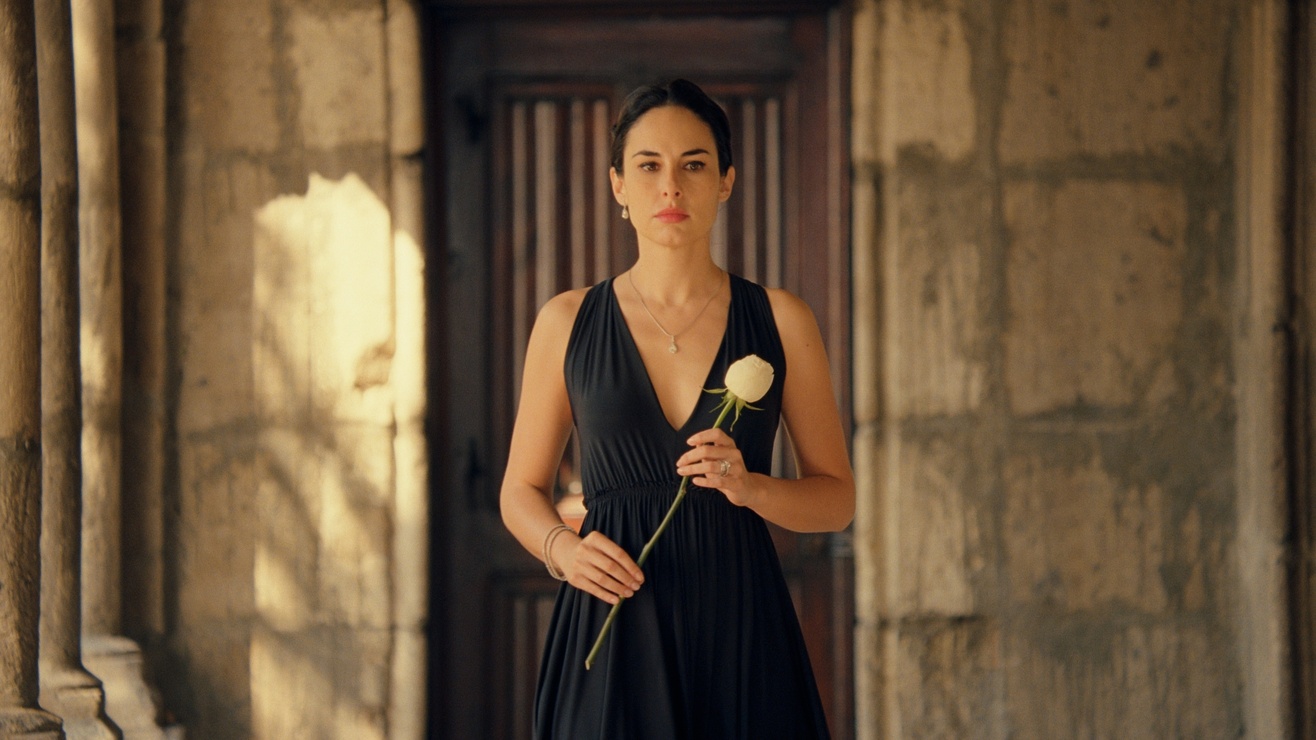 Picture of Hidden Moon