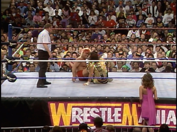 Picture of WWF WrestleMania VIII