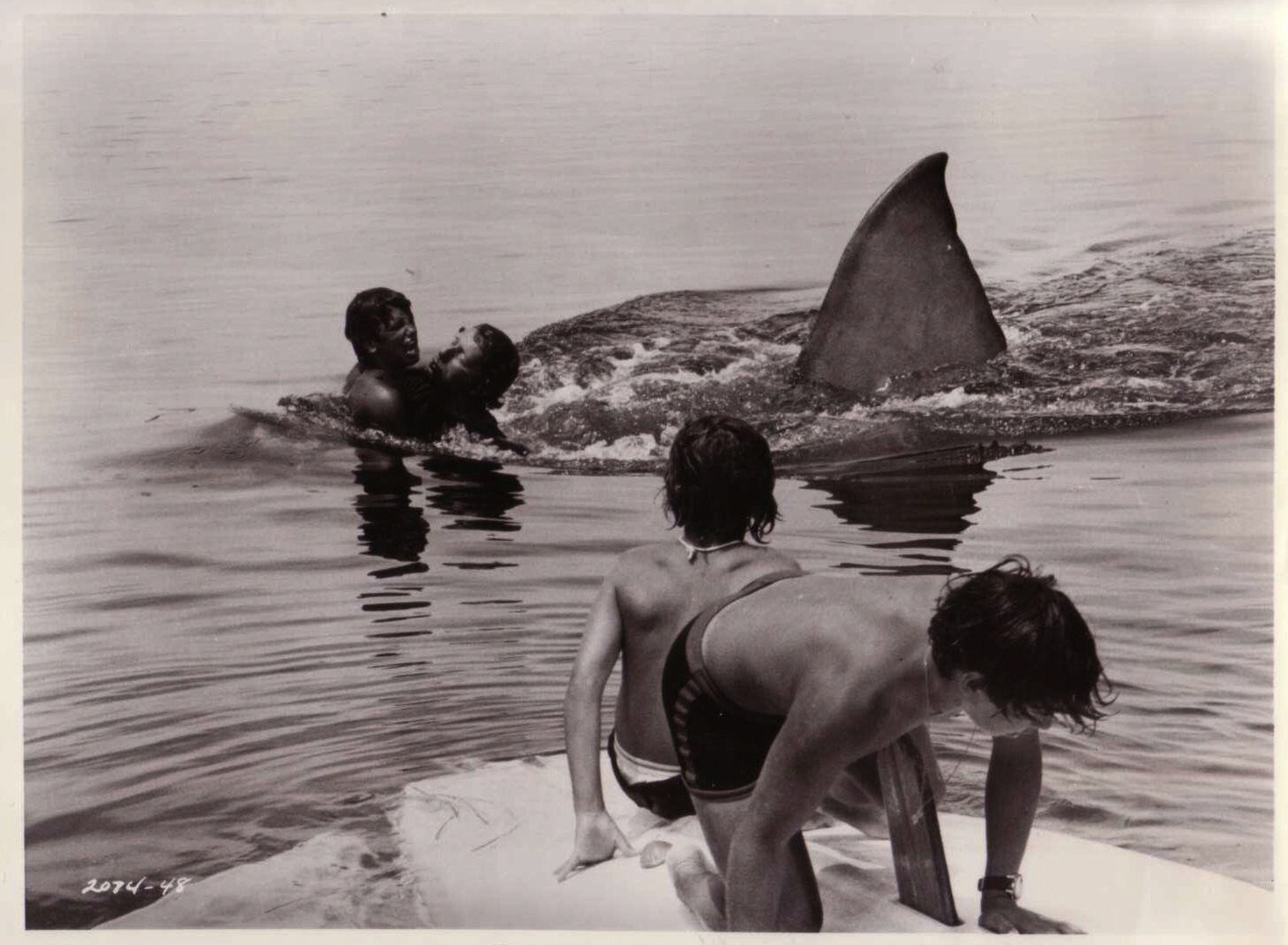 Picture of Jaws (1975)