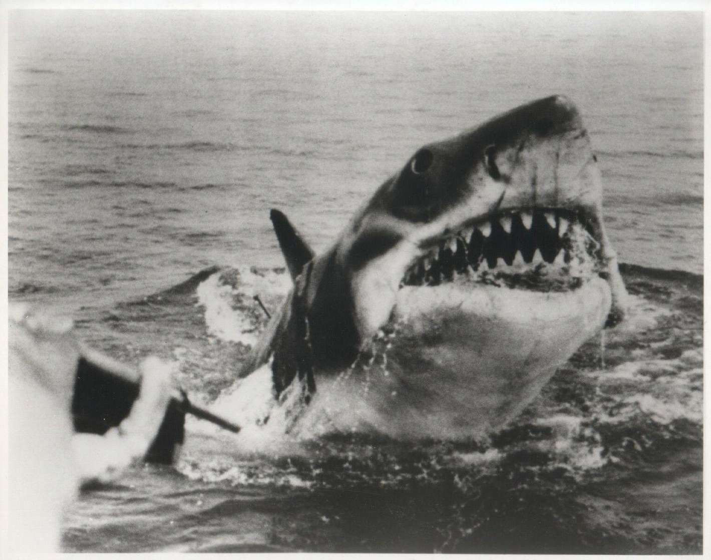 Picture of Jaws (1975)