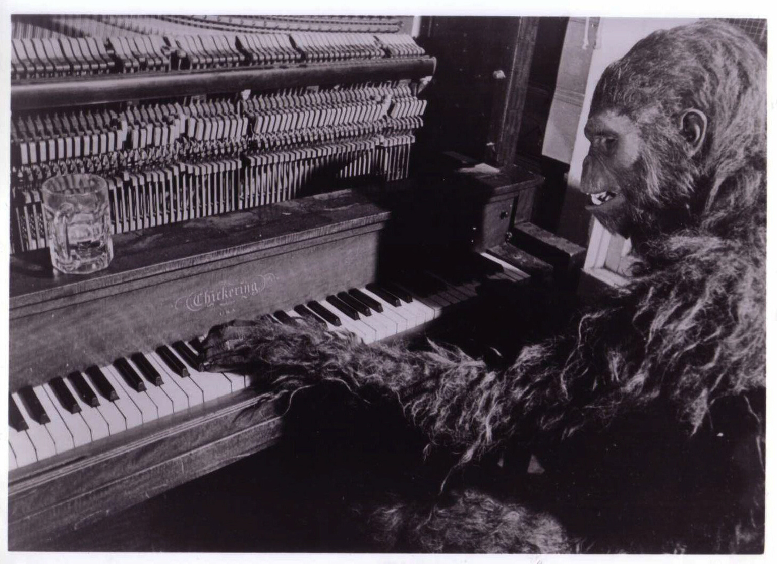 Picture of Schlock (1973)