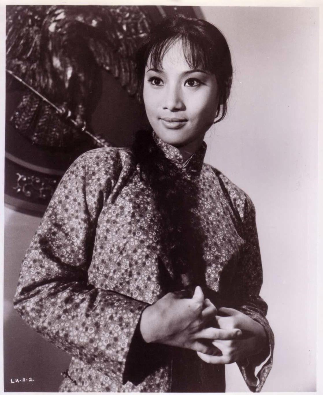 Hapkido (aka Lady Kung Fu) picture