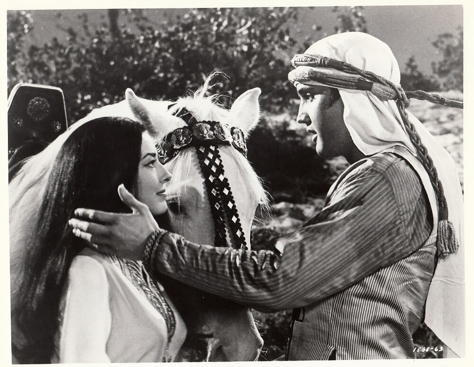 Picture of Harum Scarum (1965)