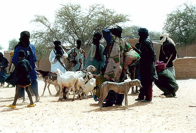 Picture of Sahel