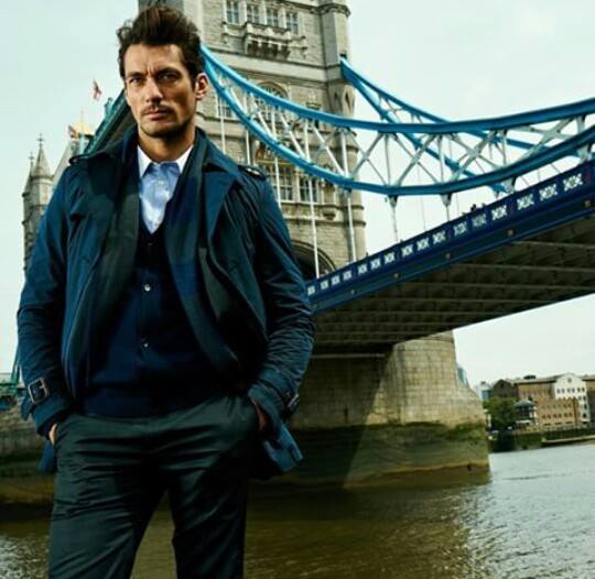 David Gandy image