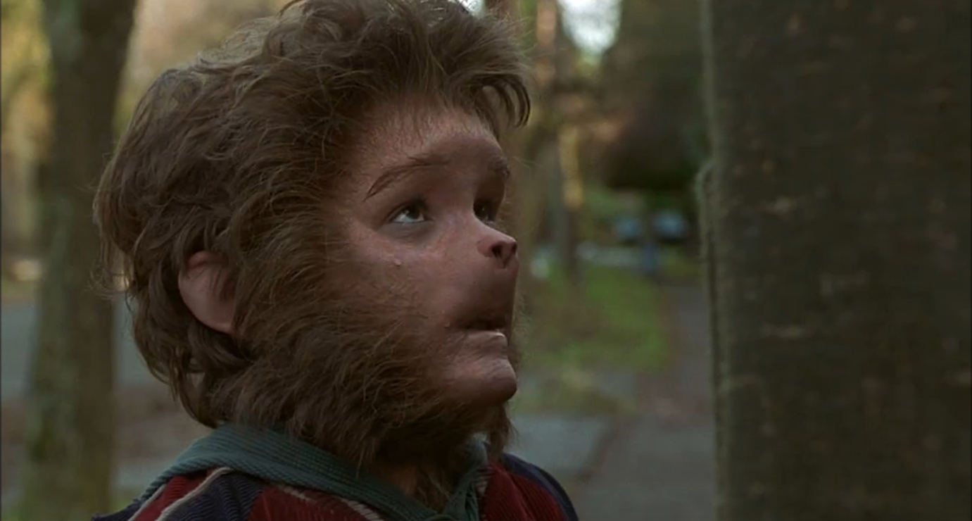 Picture of Jumanji (1995)