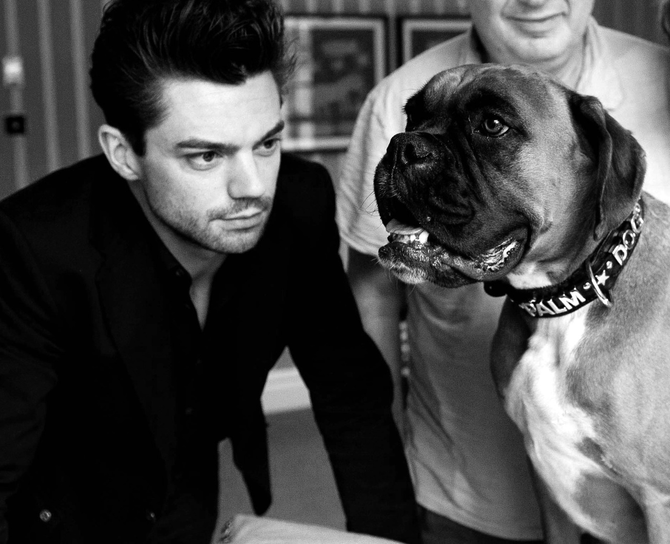 Dominic Cooper image