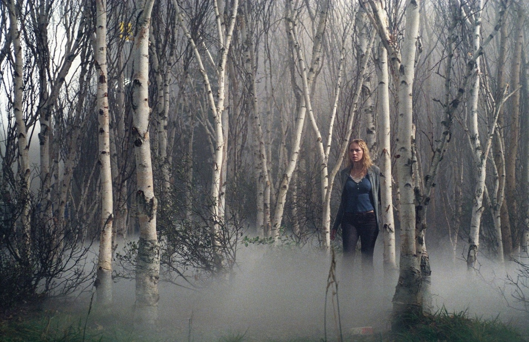 Picture of The Ring Two