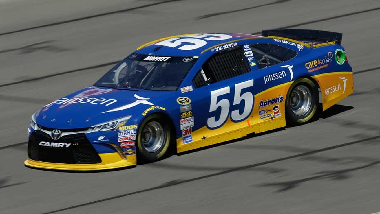 Picture of NASCAR Paint Schemes