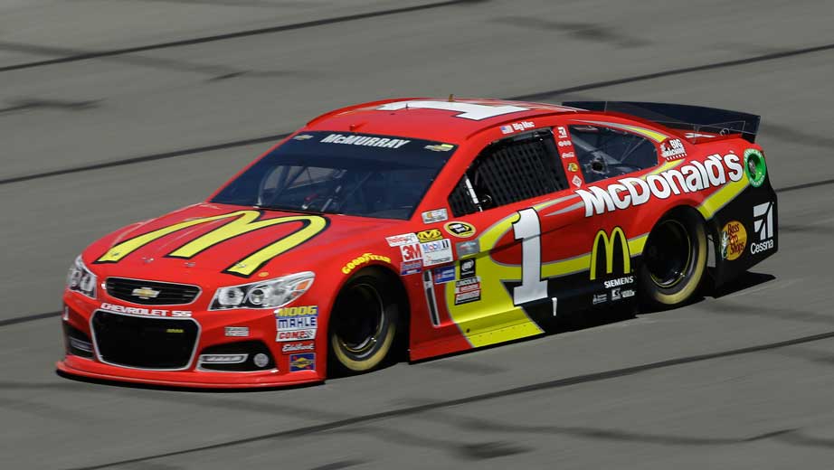 Picture of NASCAR Paint Schemes