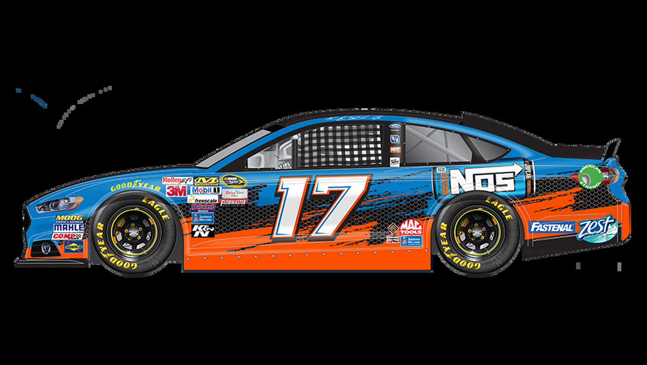 Image of NASCAR Paint Schemes