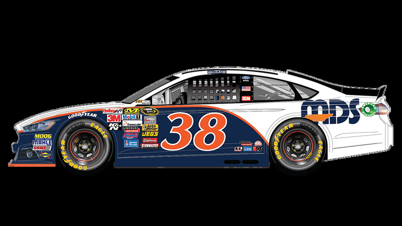 Image of NASCAR Paint Schemes