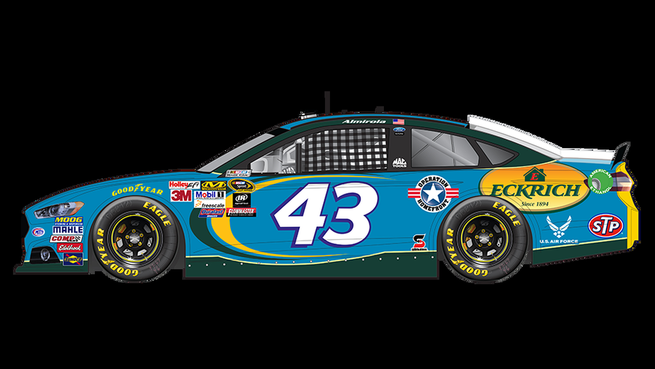 Picture of NASCAR Paint Schemes