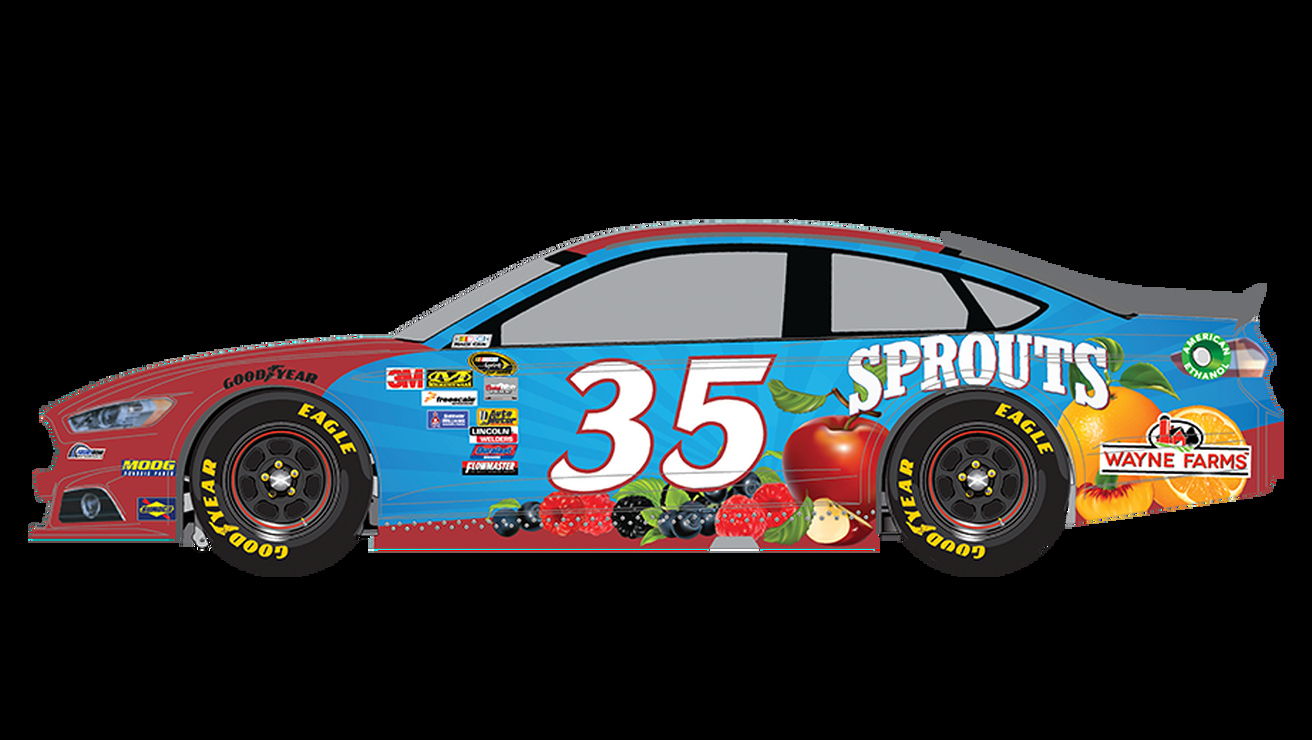 Picture of NASCAR Paint Schemes