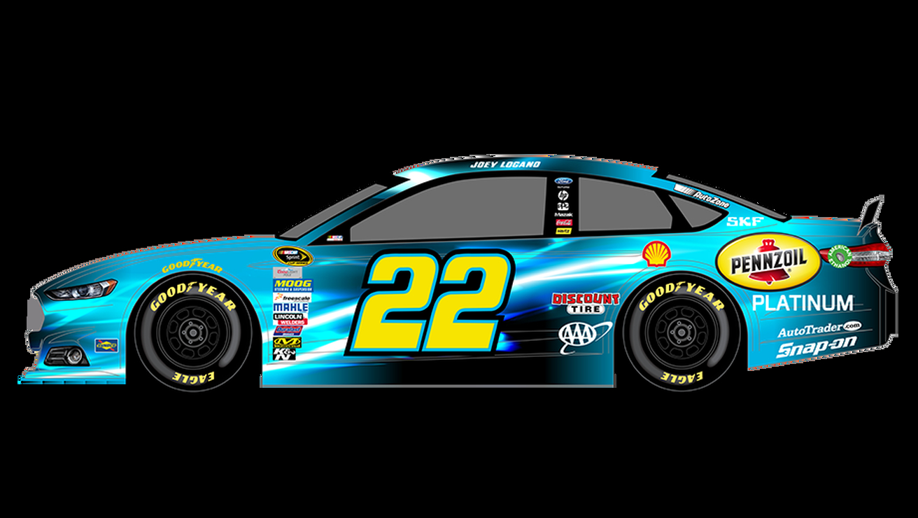 Picture of NASCAR Paint Schemes