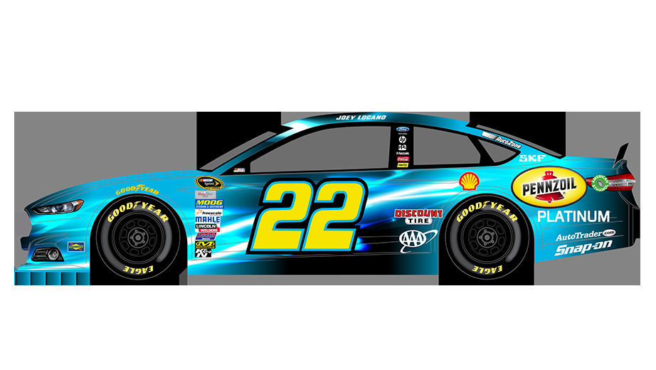 Picture of NASCAR Paint Schemes