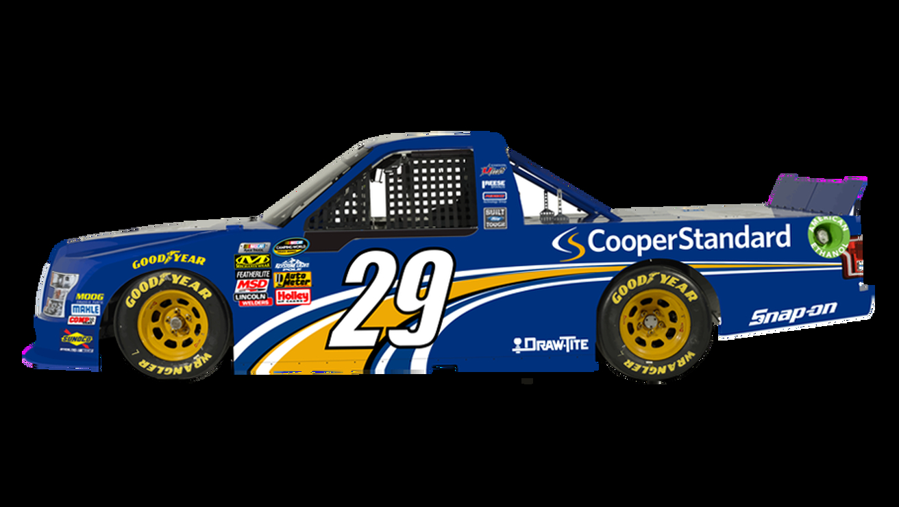 Picture of NASCAR Paint Schemes