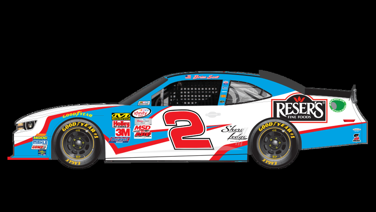 Picture of NASCAR Paint Schemes