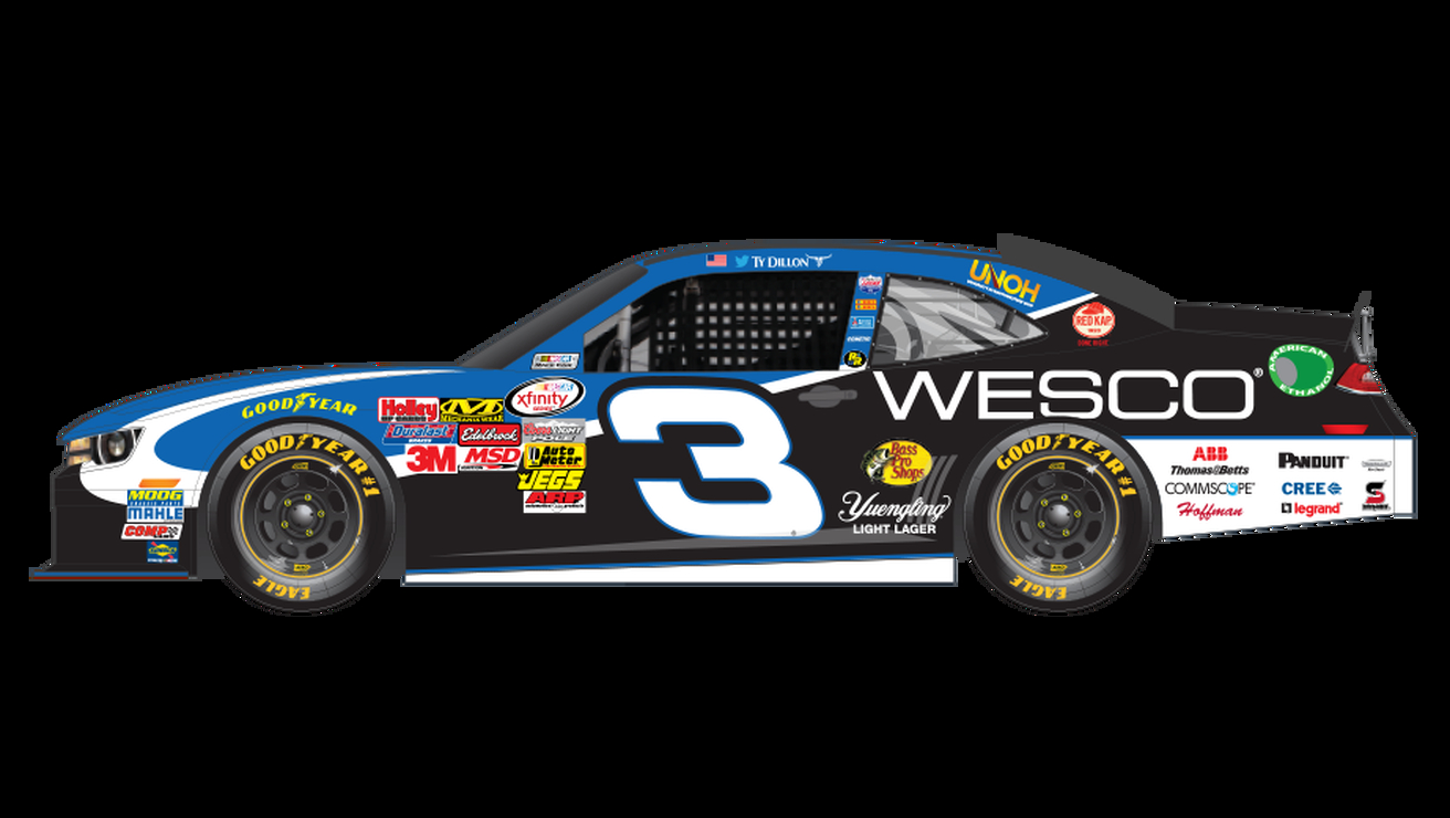 Picture of NASCAR Paint Schemes