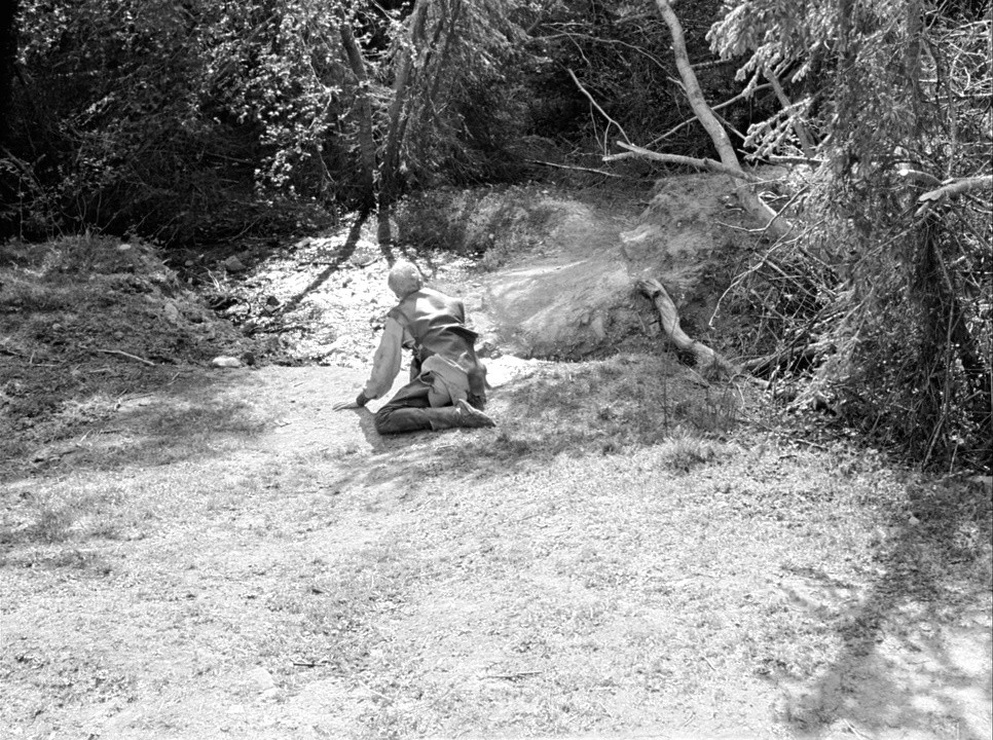 Picture of The Virgin Spring (1960)