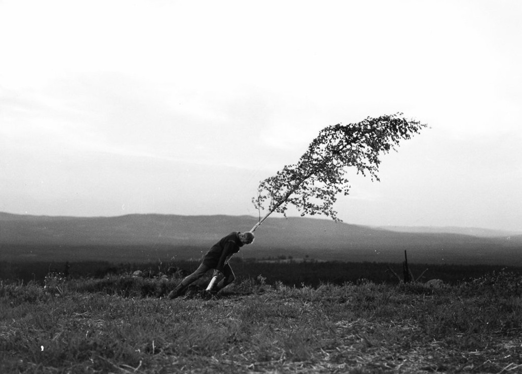 Picture of The Virgin Spring (1960)