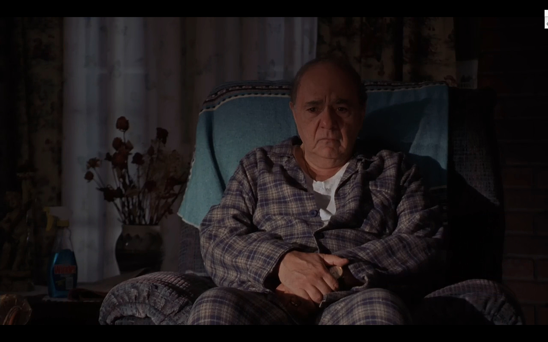 Picture of My Big Fat Greek Wedding (2002)