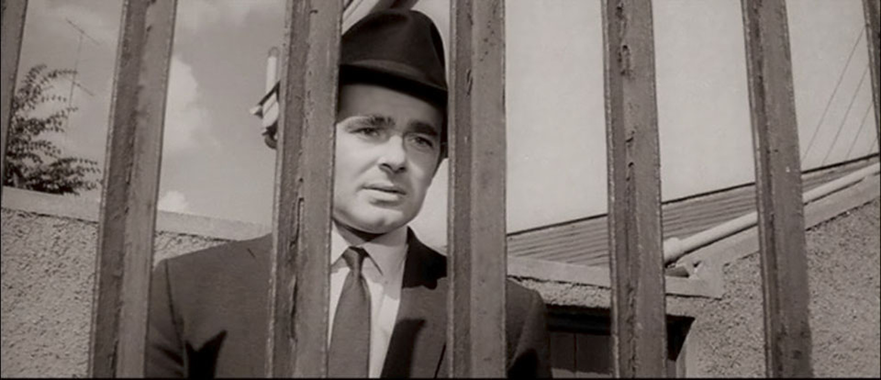 Stuart Whitman