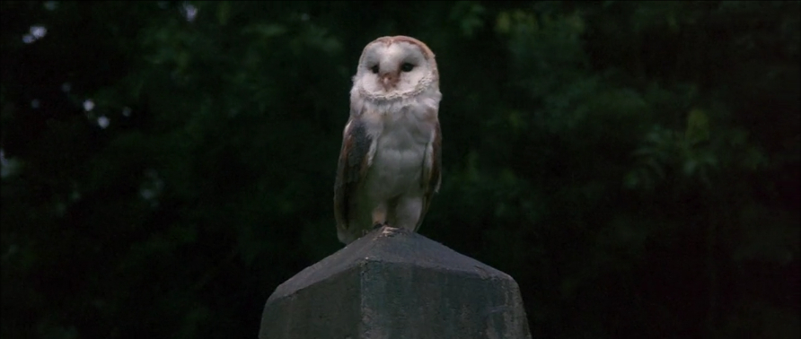 Labyrinth (1986) picture