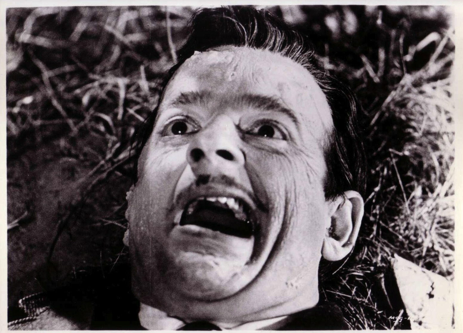 Image of Monster a-Go Go (1965)