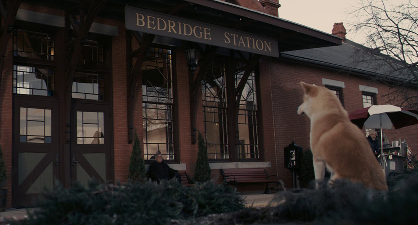 Picture of Hachi: A Dog's Tale