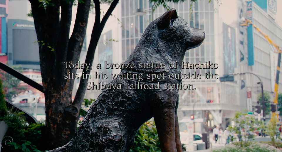 Image of Hachi: A Dog's Tale