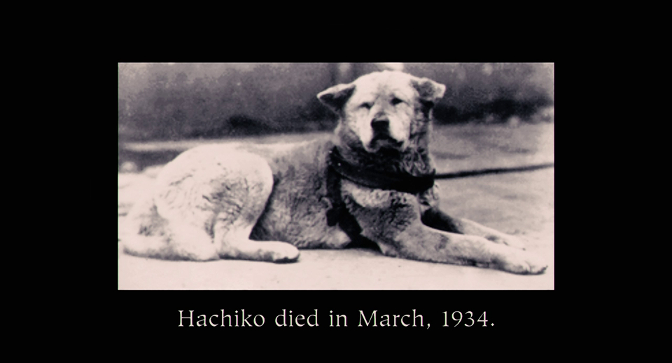 Hachi: A Dog's Tale picture