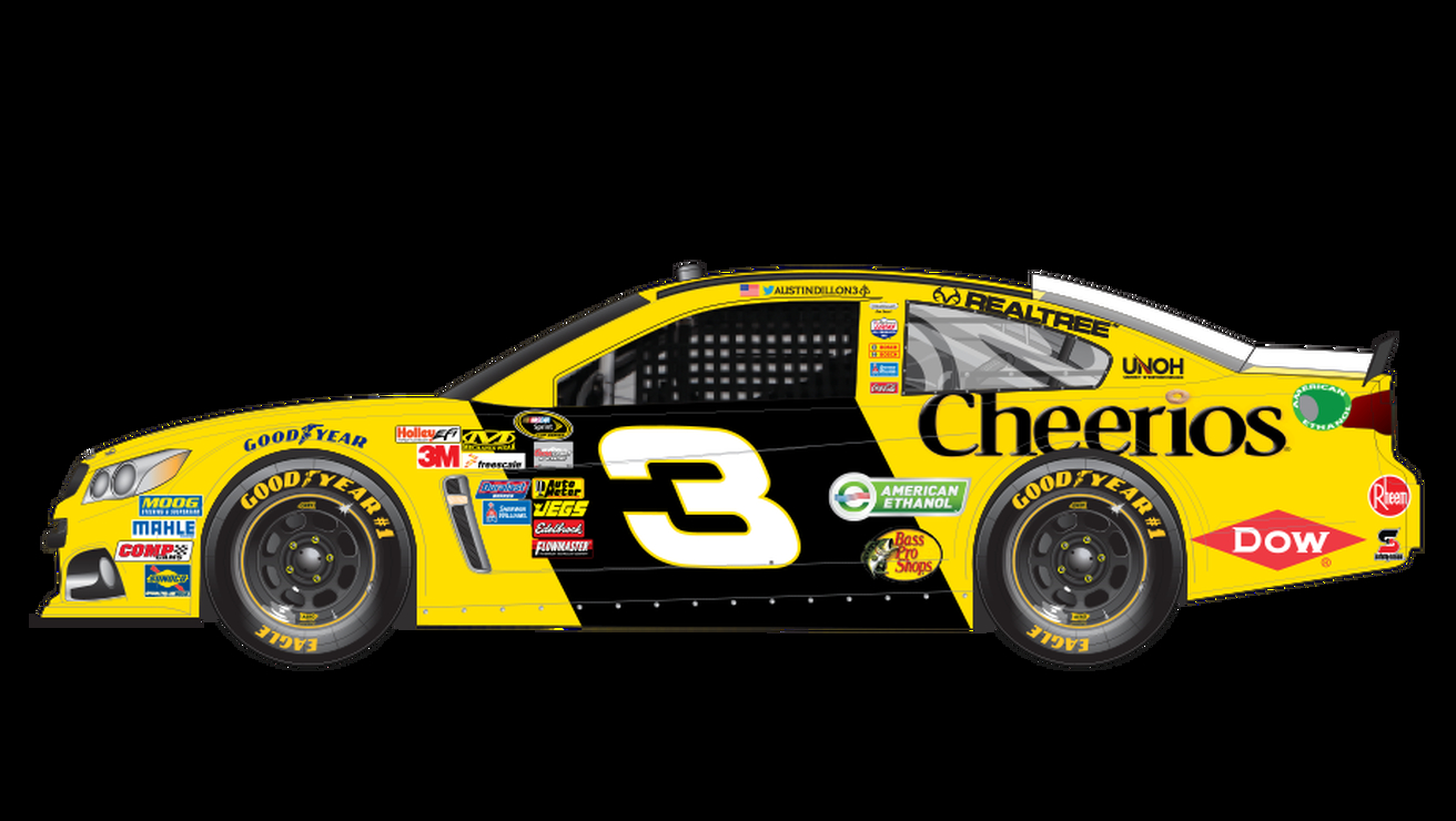 Picture of NASCAR Paint Schemes