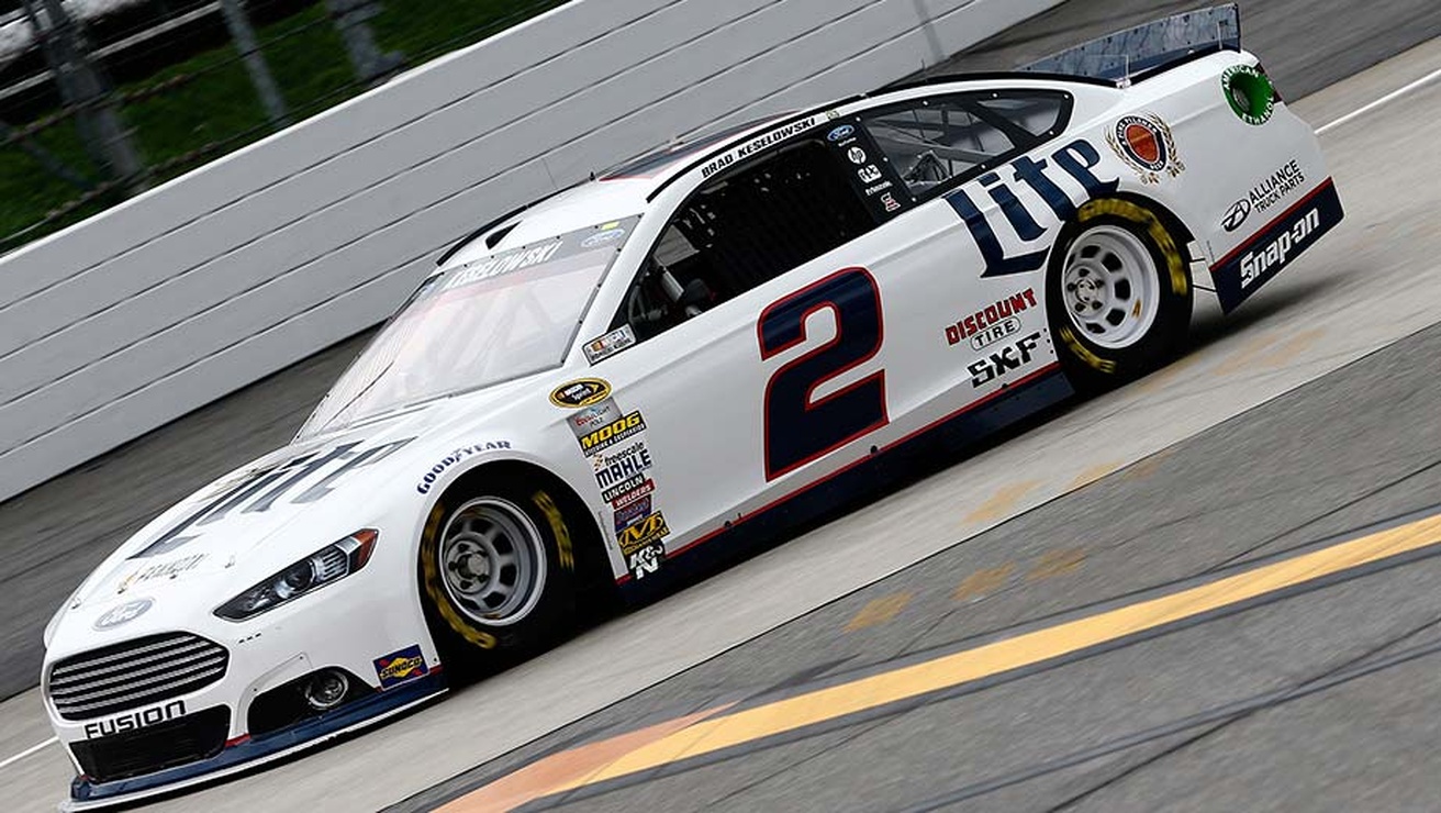 Picture of NASCAR Paint Schemes