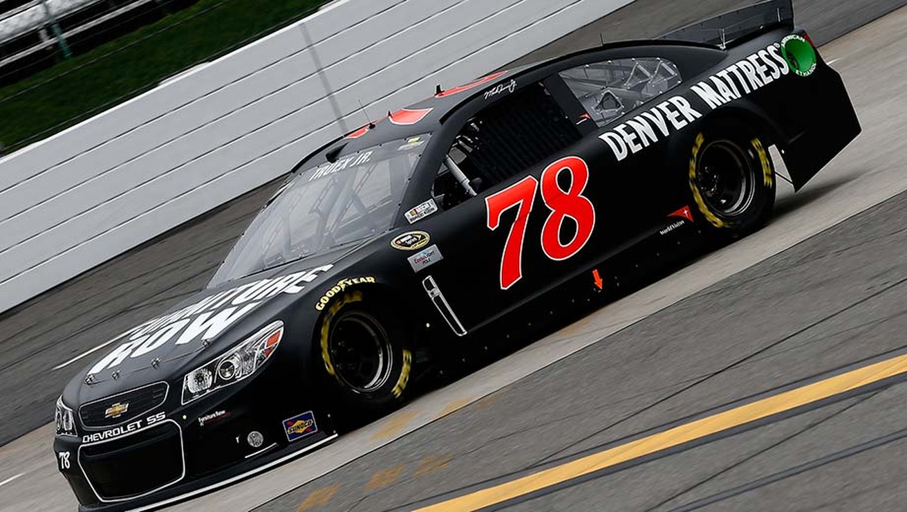 Picture of NASCAR Paint Schemes