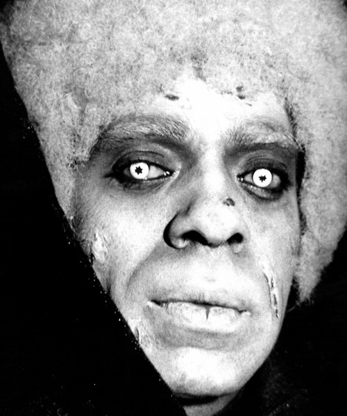 Picture of The Omega Man