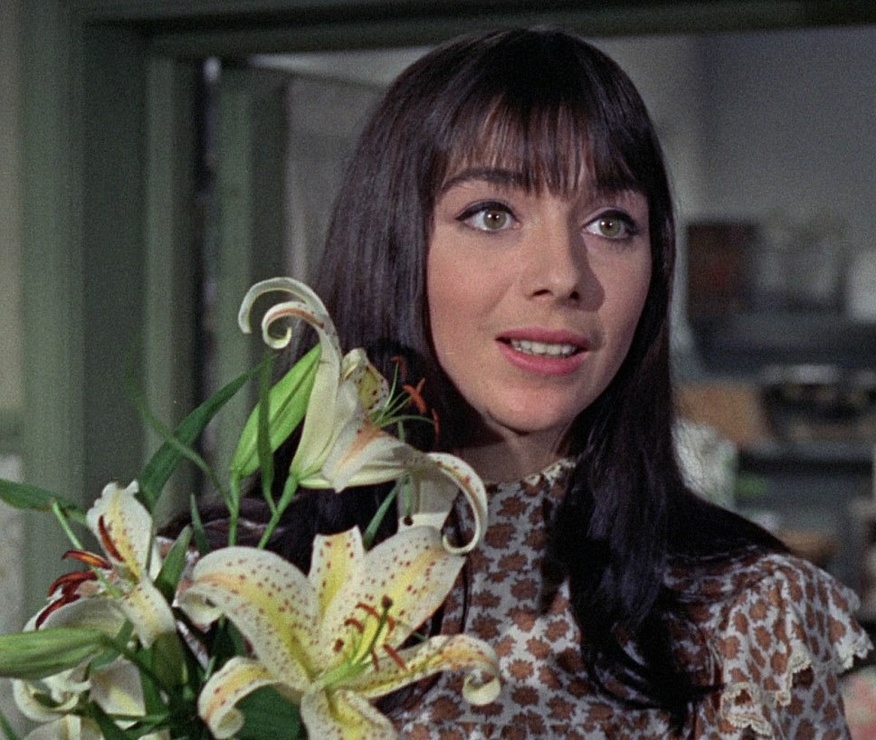 Image of Jacqueline Pearce