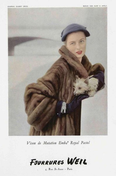 Picture of Capucine