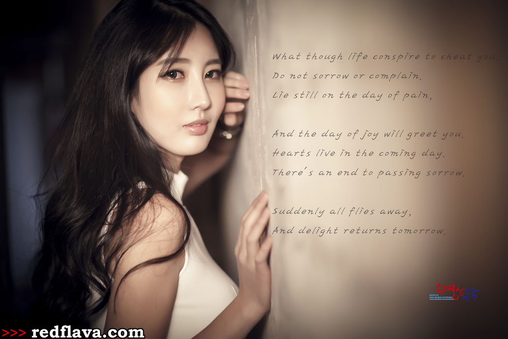 Picture of Shin Se Ha