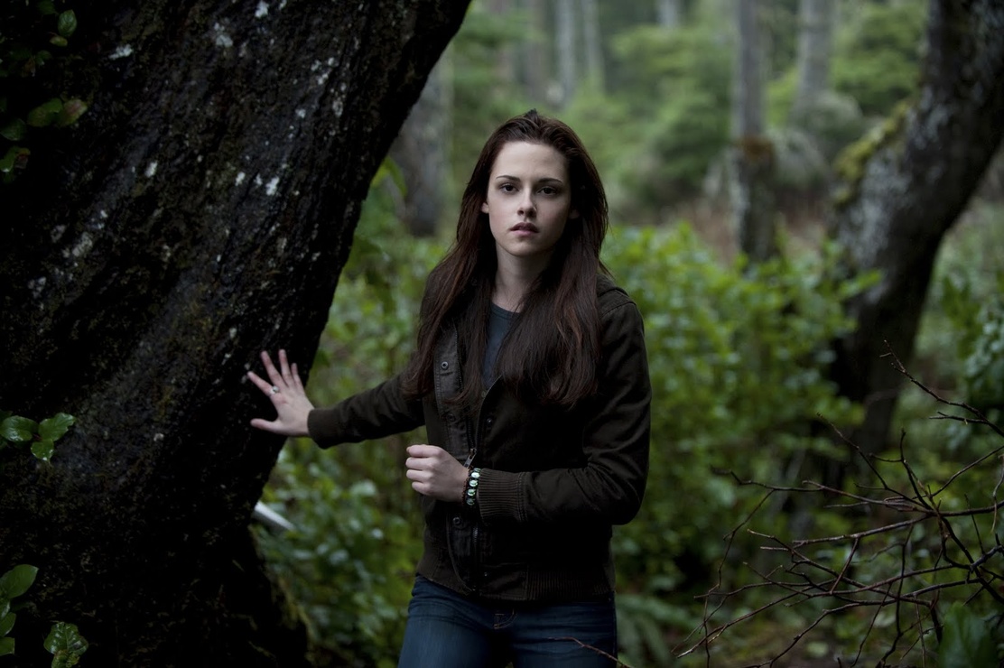 Picture of The Twilight Saga: New Moon