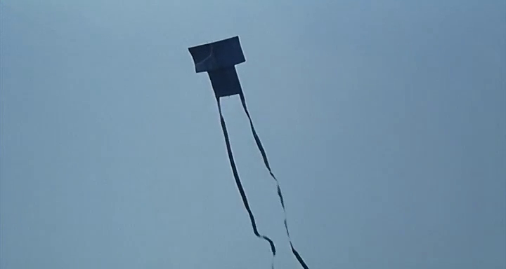 The Blue Kite image