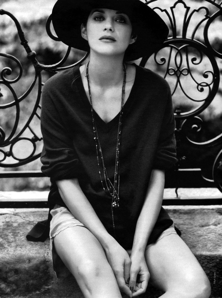 Picture of Marion Cotillard