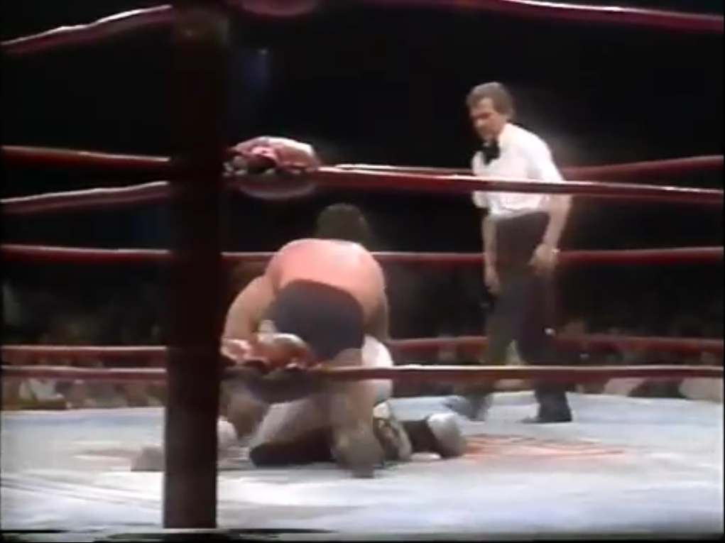 El Dandy vs. Emilio Charles Jr. (1989/12/1) picture