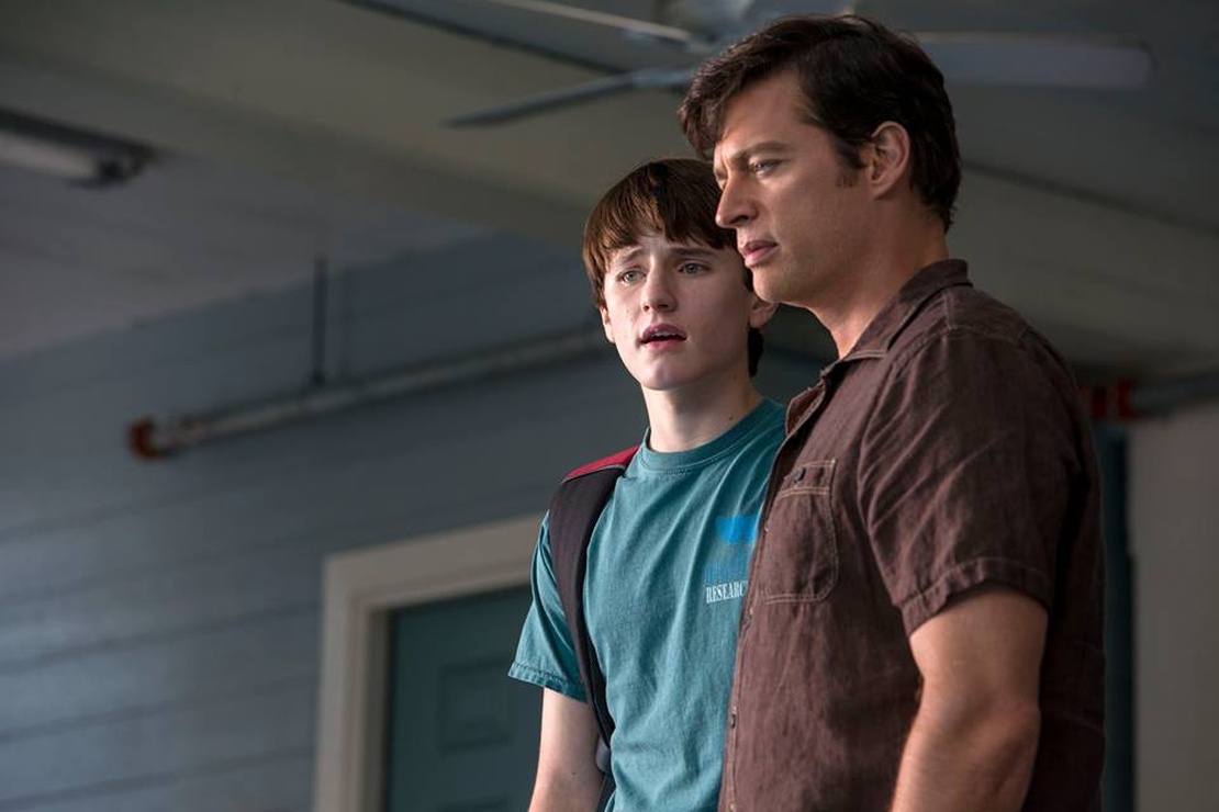 Picture of Dolphin Tale 2