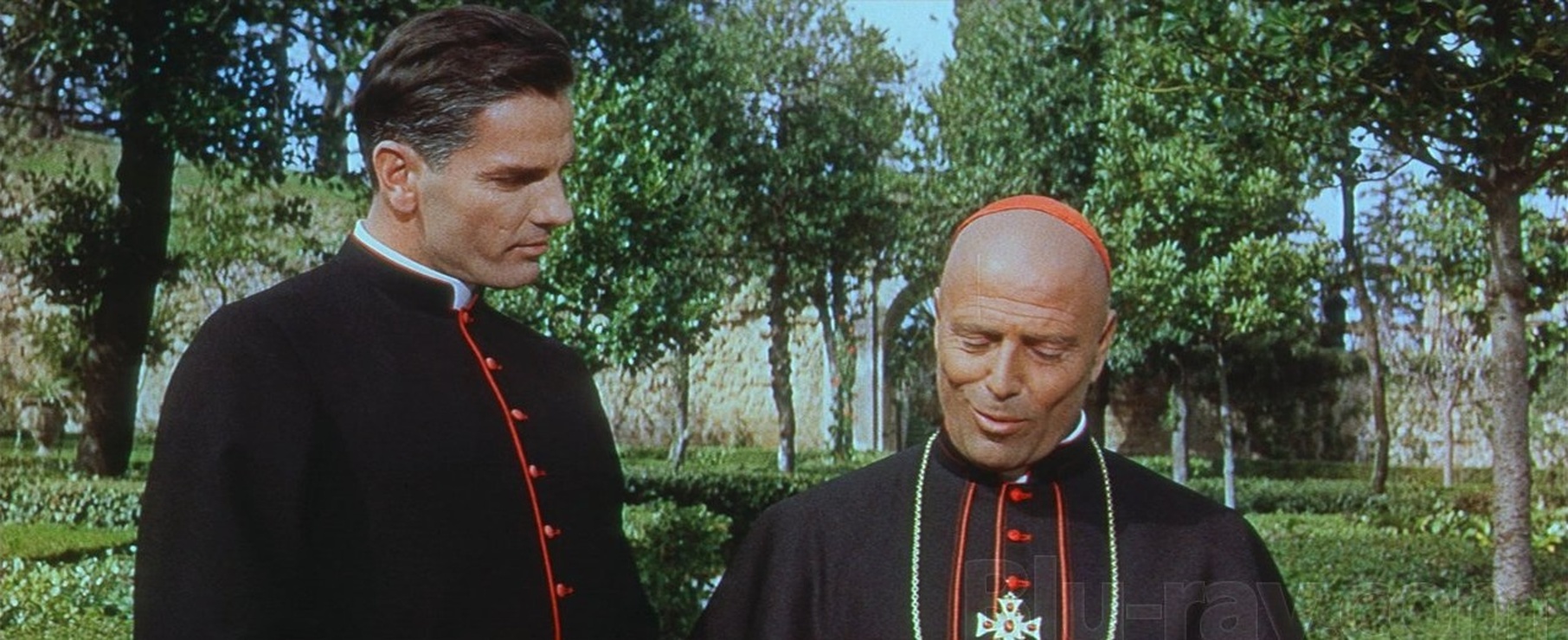Picture of The Cardinal (1963)