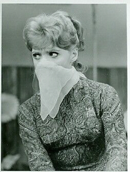 Picture of Shari Lewis