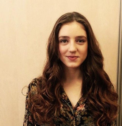 Picture of Birdy