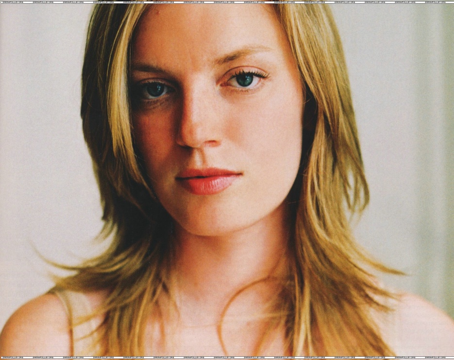 Picture of Sarah Polley