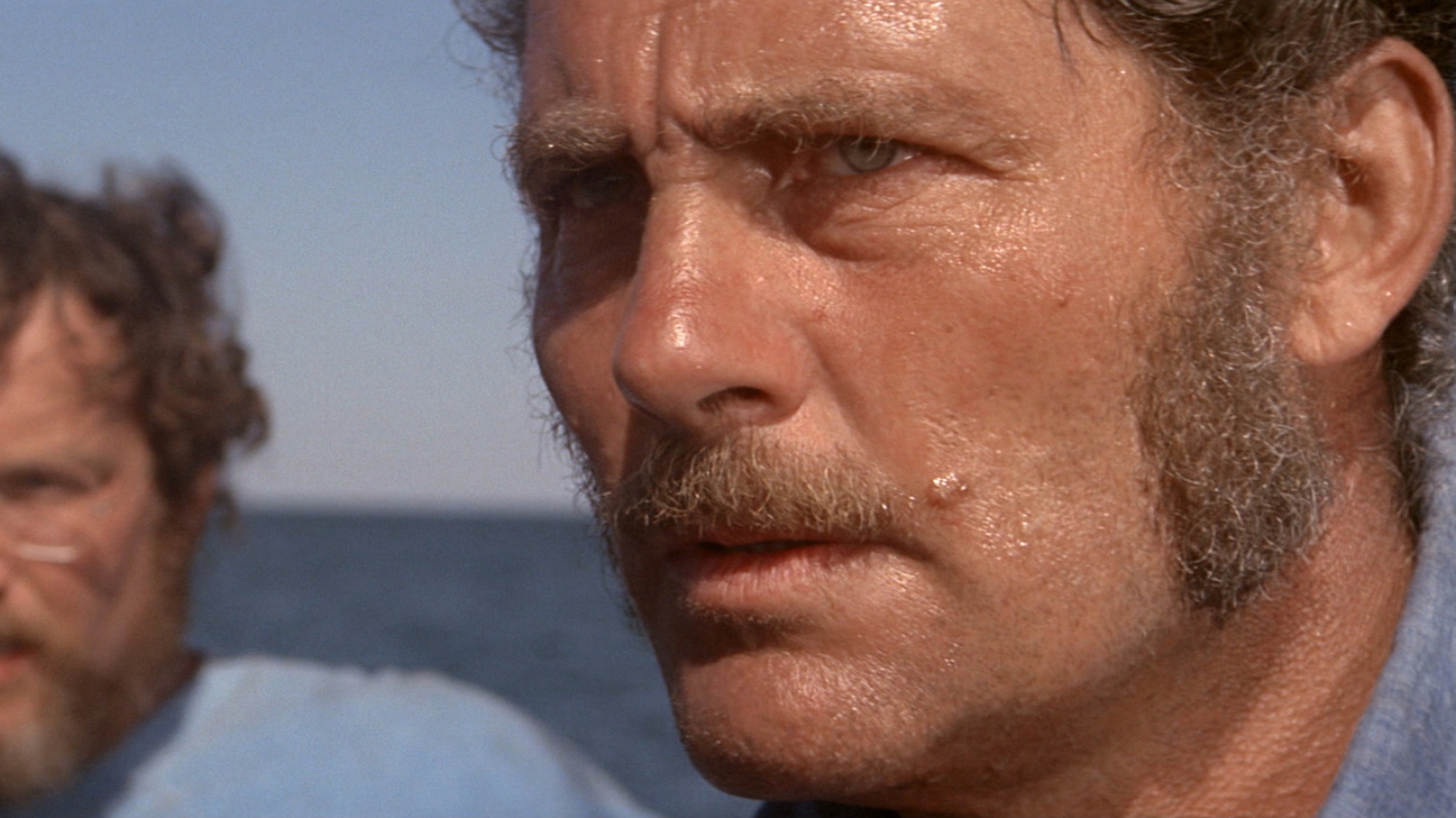 Jaws (1975) image